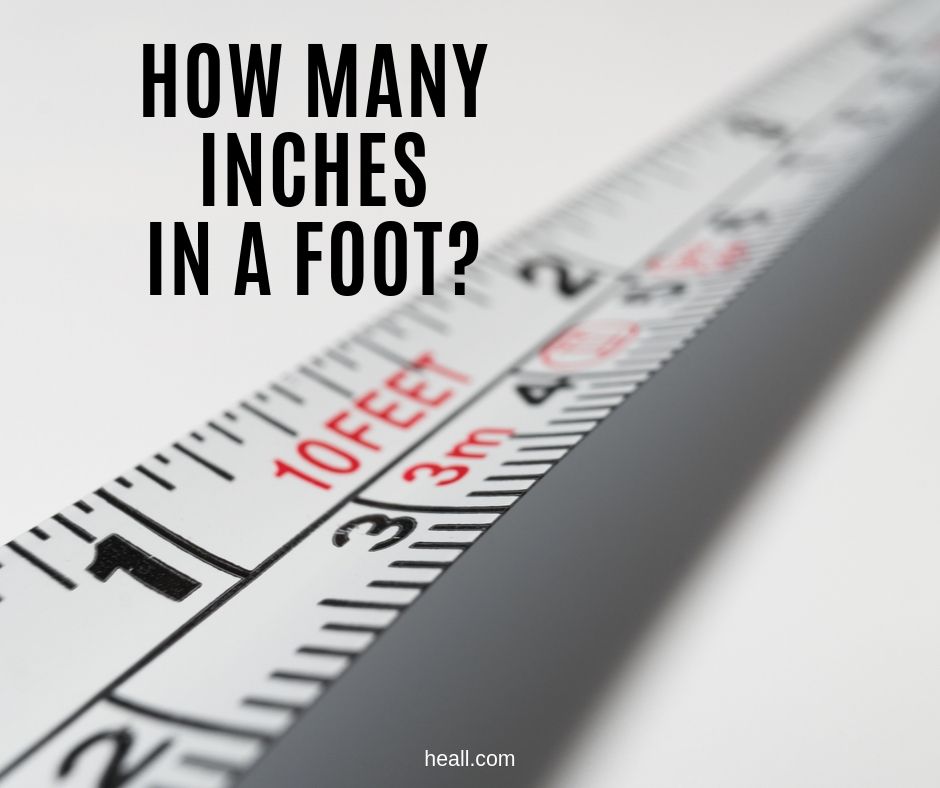 How Many Inches In A Foot Conversion Table Converter 