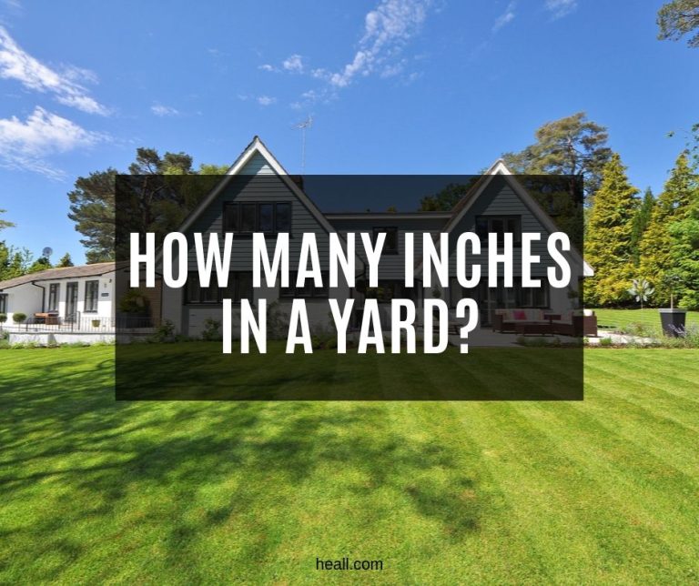 How Many Inches In A Yard? {Conversion Table & Converter}